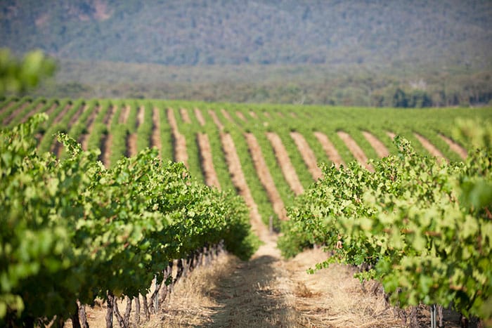 Blue Pyrenees Estate » Weine aus der Neuen Welt Western Victoria ...