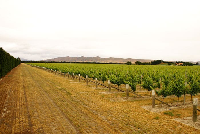 Waipara Hills Winery » Weine aus der Neuen Welt Canterbury Waipara