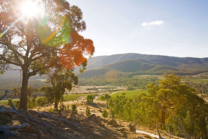 Blue Pyrenees Estate » Weine aus der Neuen Welt Western Victoria ...