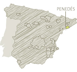 Finca Pronamala » Wein aus Spanien Penedès Sant Sadurni d'Anoia